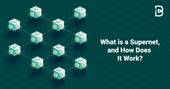 What is a Supernet, and How Does It Work? – ImmuneBytes